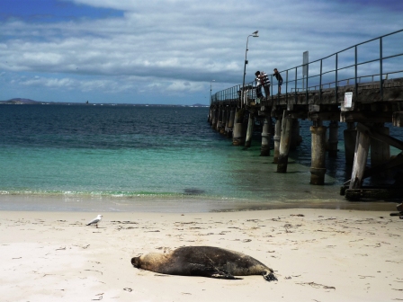 BakersOnTour (2012): 2012, October 15/16 - Quagi Beach to Esperance