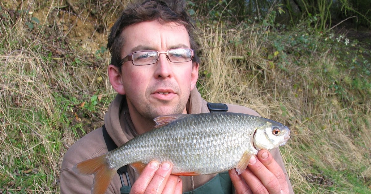 A Specialist Anglers Diary: Bolt rig for roach - the two pound dream