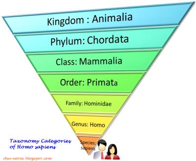 CBSE Papers, Questions, Answers, MCQ ...: CBSE Class 9 - Biology - CH 7 ...