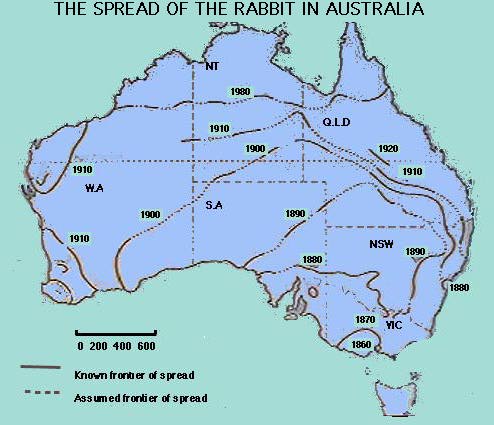 Fences - Daniel NG BlogDaniel NG Blog