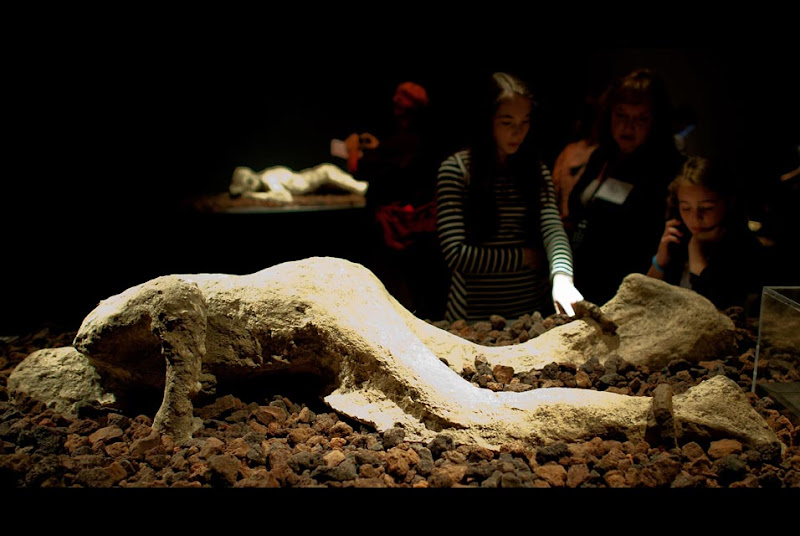 Museum of Science presents A Day in Pompeii: One of the world's ...