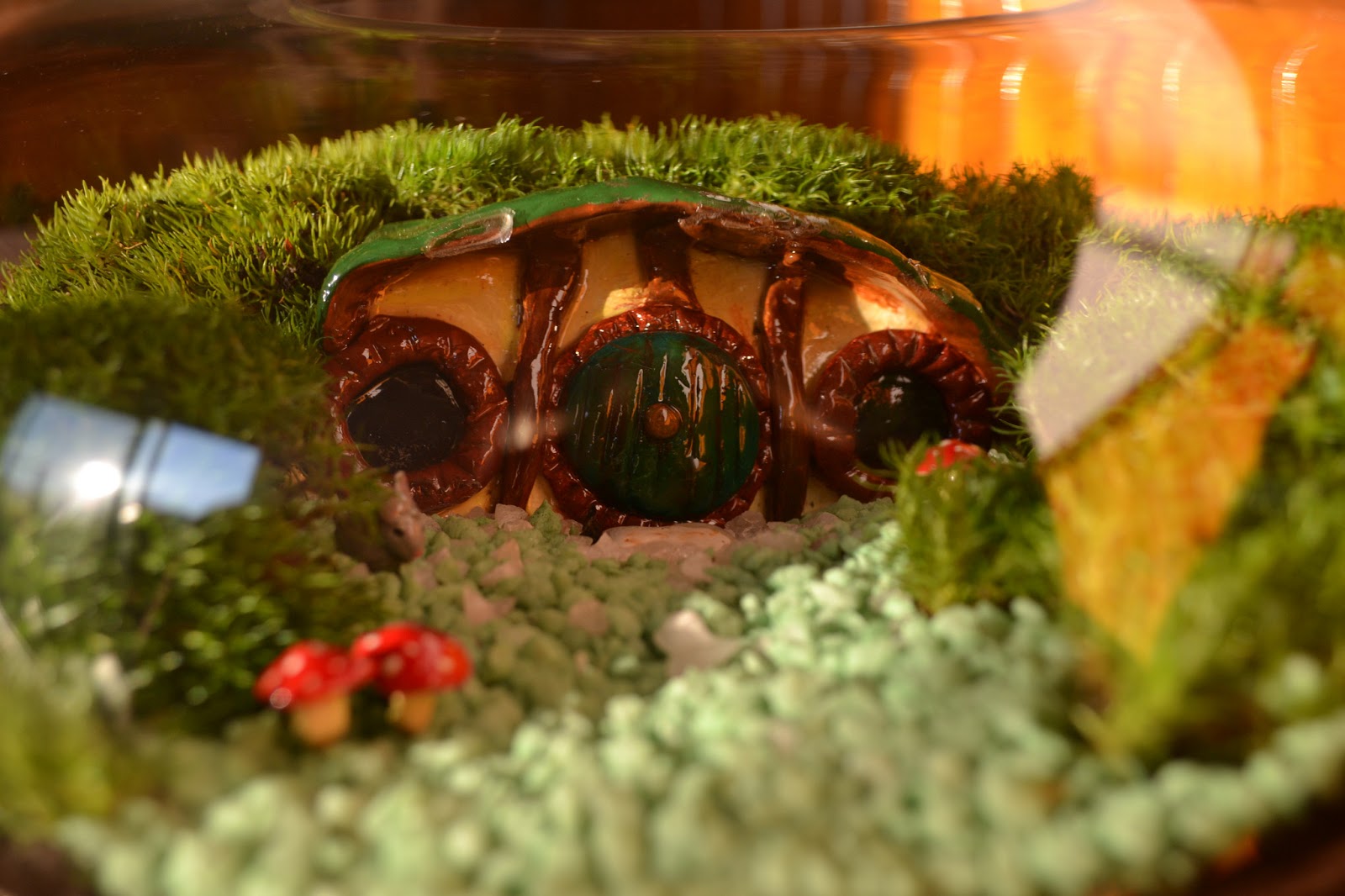Emma's Adventures: How to Make a Hobbit Terrarium