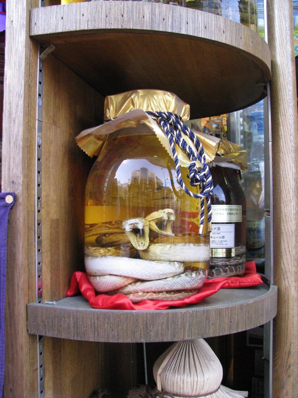 Welcome to Zika Bobby Blog: Japanese Snake Wine: Habu Sake
