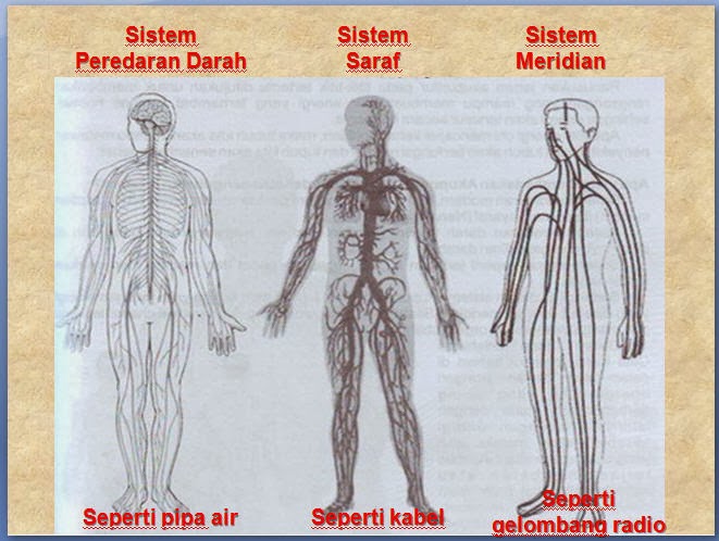 AIRBOOM INDONESIA : Apa itu AKUPUNTUR? Apa itu MERIDIAN?