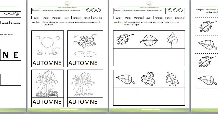 Mes fiches pratiques: La saison d'automne - Activités