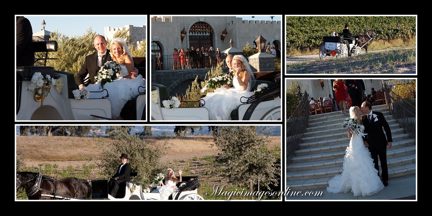 Magic Images: Alicia and Bill Branstetter(Ladenes) Wedding