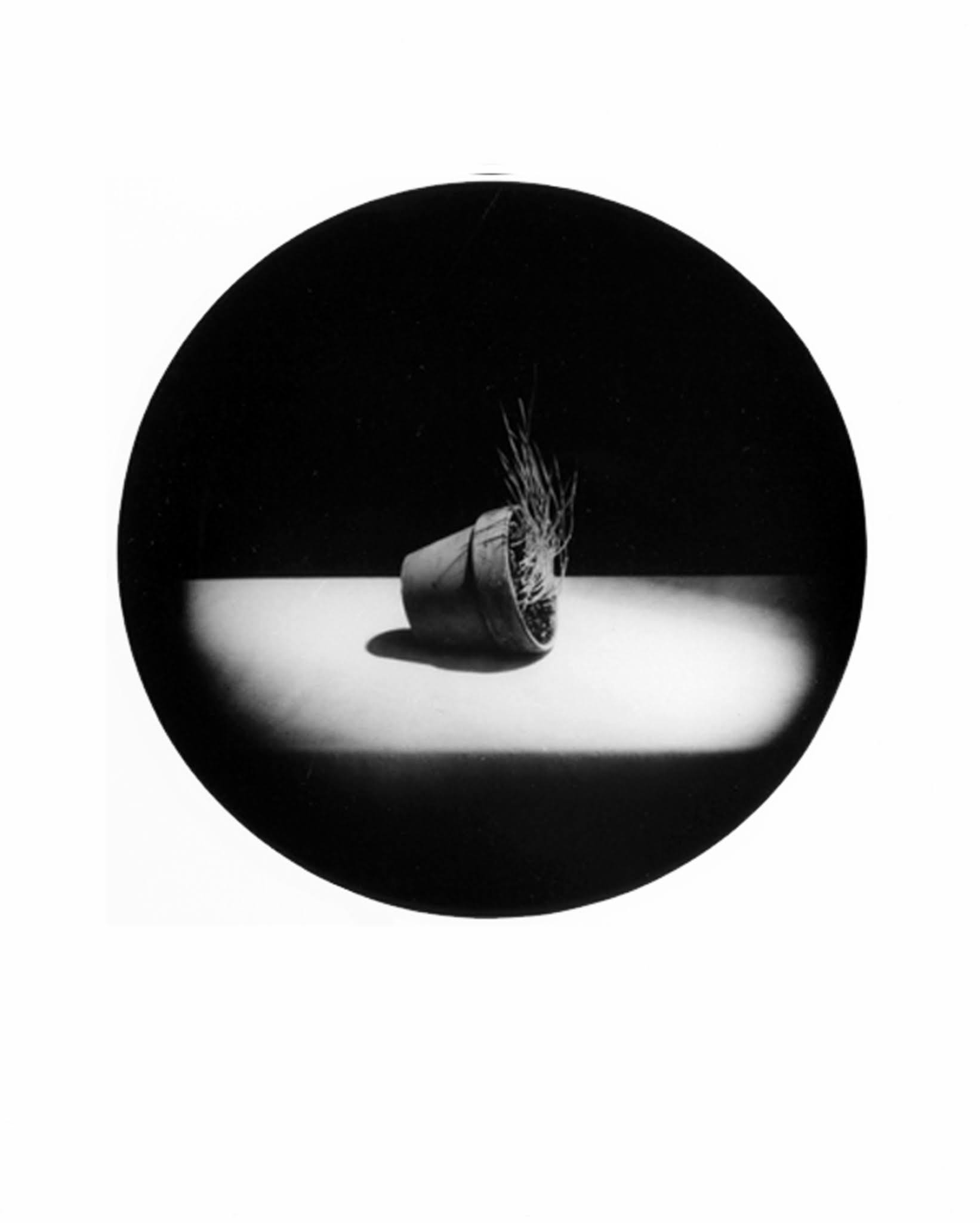 VISUAL CULTURE ART 218: J. John Priola, Photographer