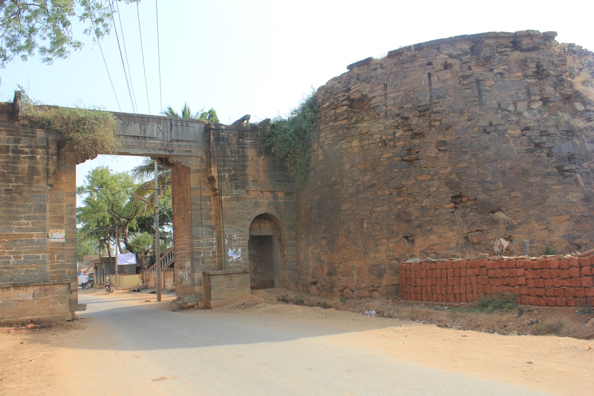 Journeys across Karnataka: Savanur: fort ruins and Baobab trees