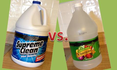 Mold Removal DIY Tips - Information and More: Mold Cleaning Solutions