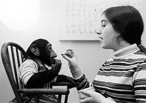 SNEAK PEEK : "Project Nim": Monkey See. Monkey Do.