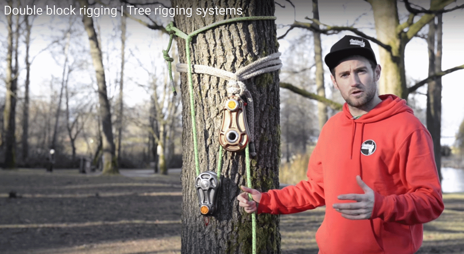 樹木流纜 雙滑輪系統Double block rigging | Tree rigging systems | 樹沃客樹藝