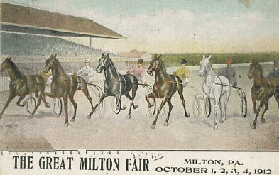 Valley Girl Views: When Milton Had A Fair