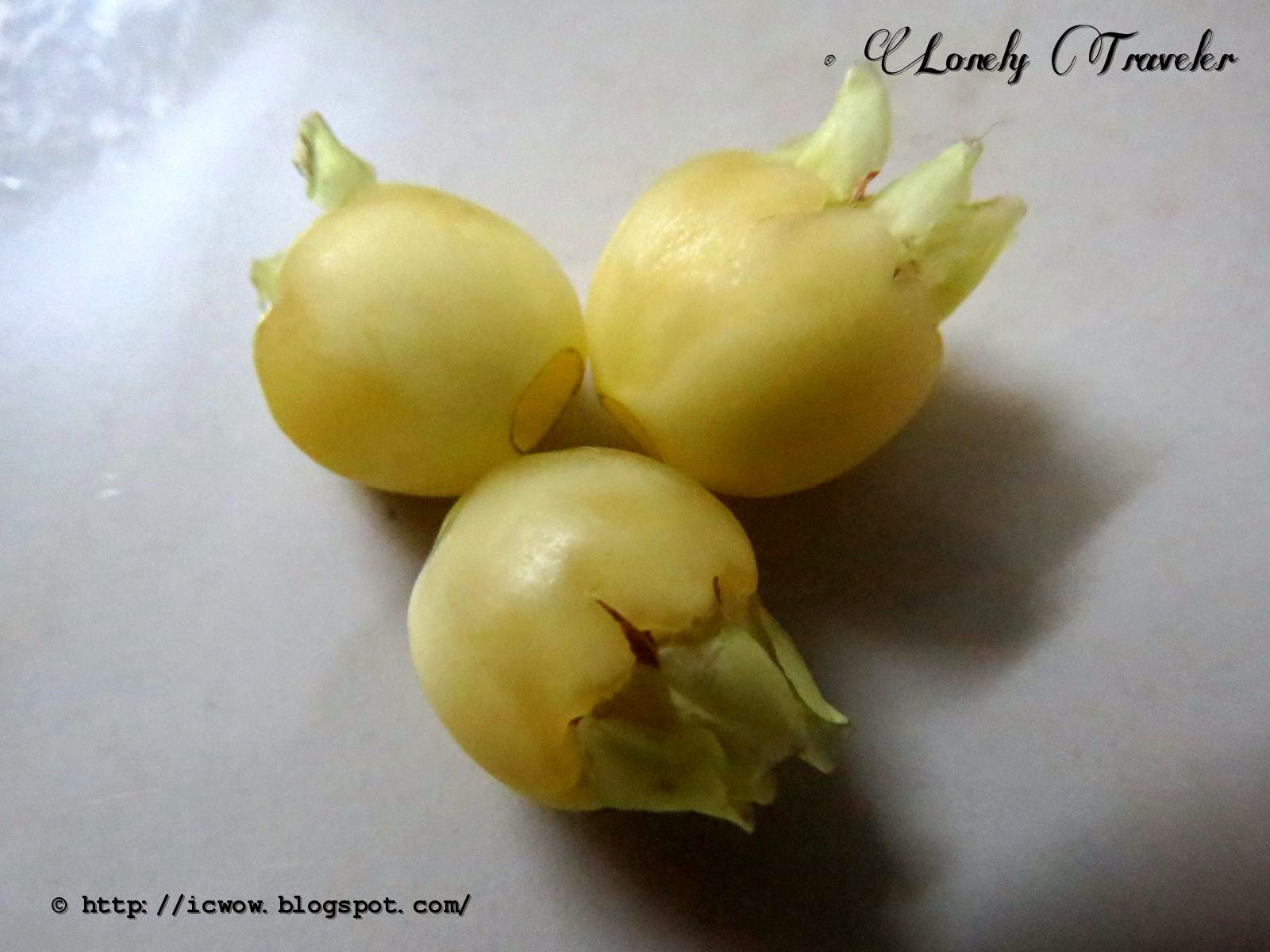 Mohua ful (মহুয়া ফুল) - Madhuca longifolia