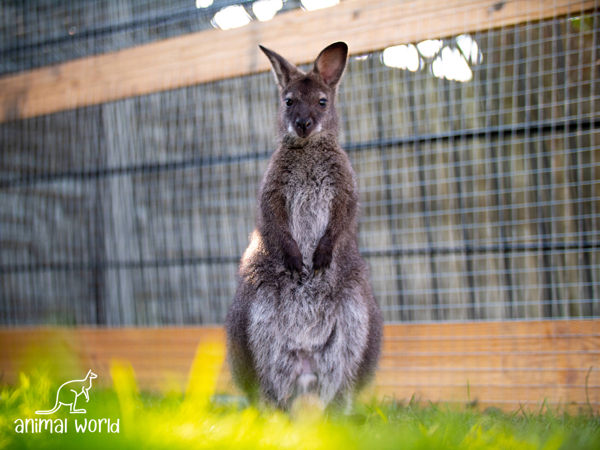[śląskie] Atrakcje dla dziecka na Śląsku w POGODĘ - vol. 7