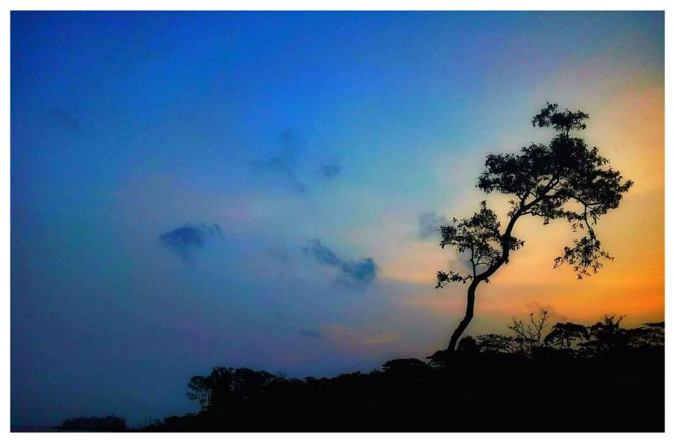 দেয়াল (Deyal): ছবি ঘর - এম ডি এইচ সাকিব