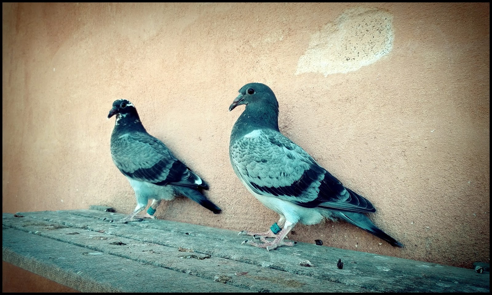 Pluma negra: QUINCE COSAS QUE NO DEBERIAMOS OLVIDAR JAMAS CUANDO EL ...