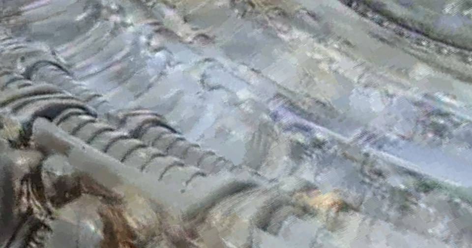 Alien Explorations: Alien : The Derelict's Interior