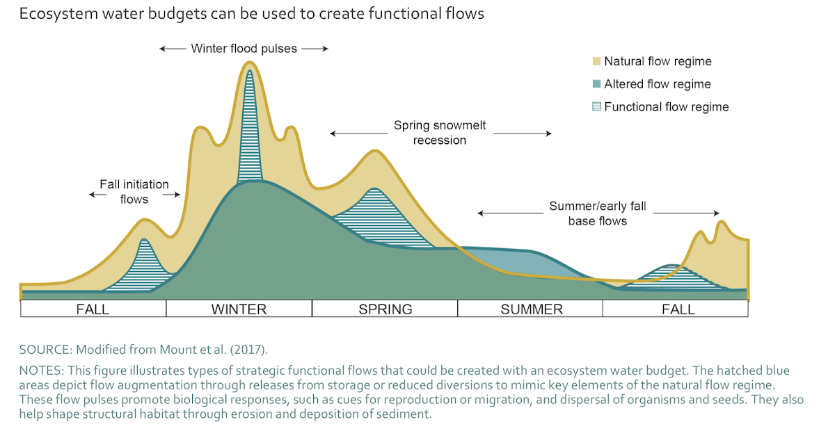 Ventura River Ecosystem: Ecosystem flows