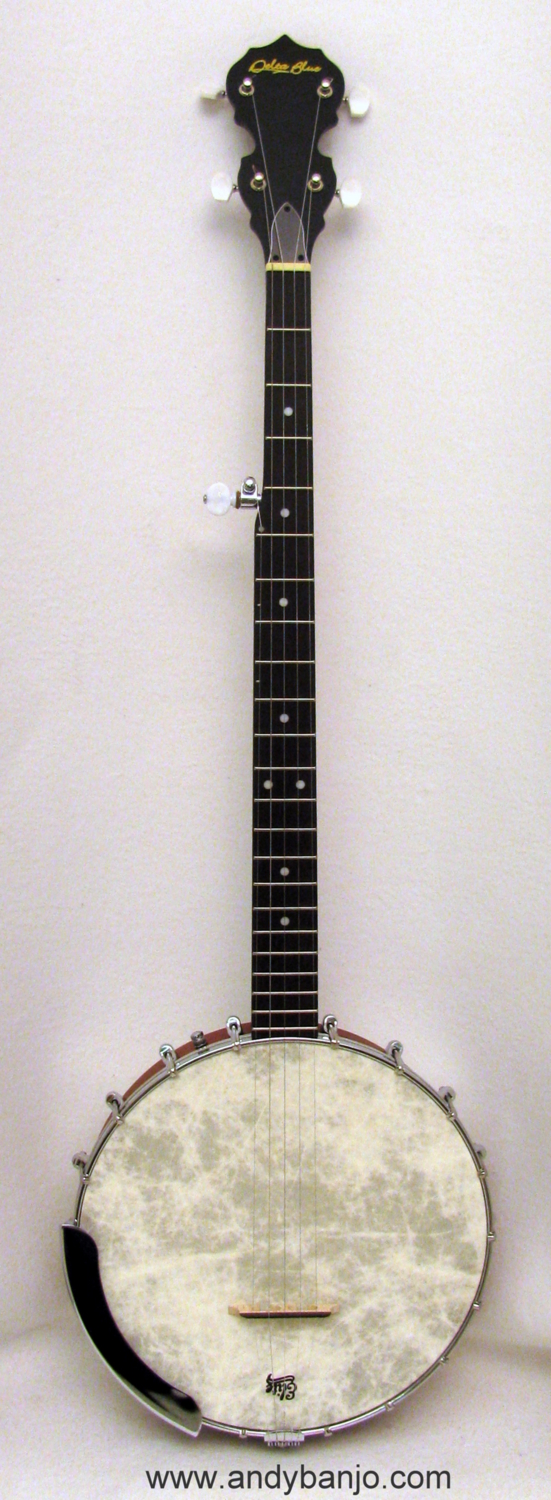 Electric Dreamer: ~delta blue~