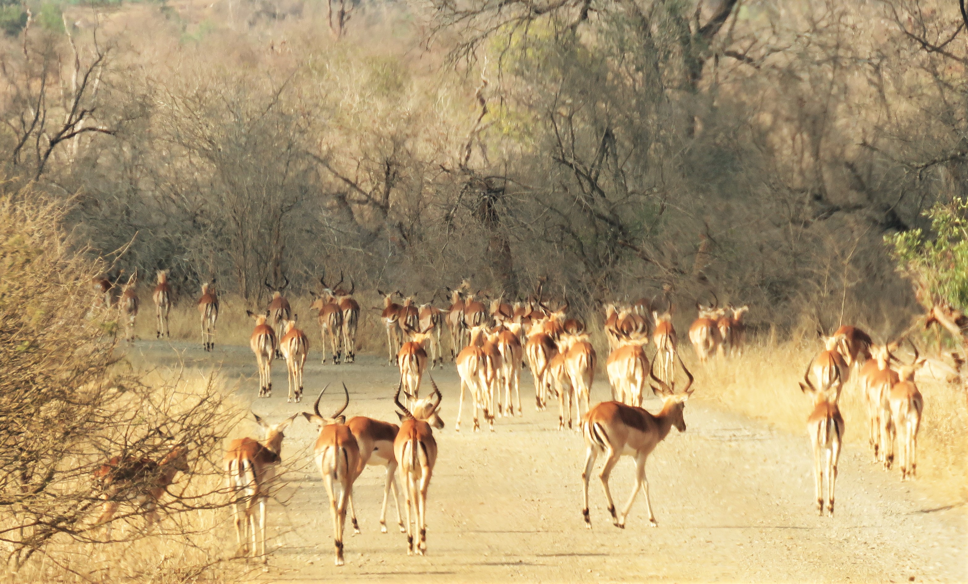 AUTRES DIRECTIONS: SAFETY IN NUMBERS