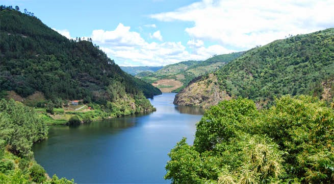 Relieve: RÍOS DEL MUNDO