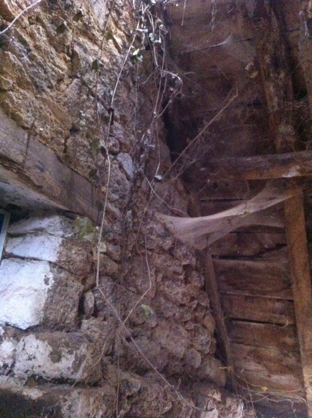 Renovation of a Derelict House in Brittany, France: Renovation Project ...