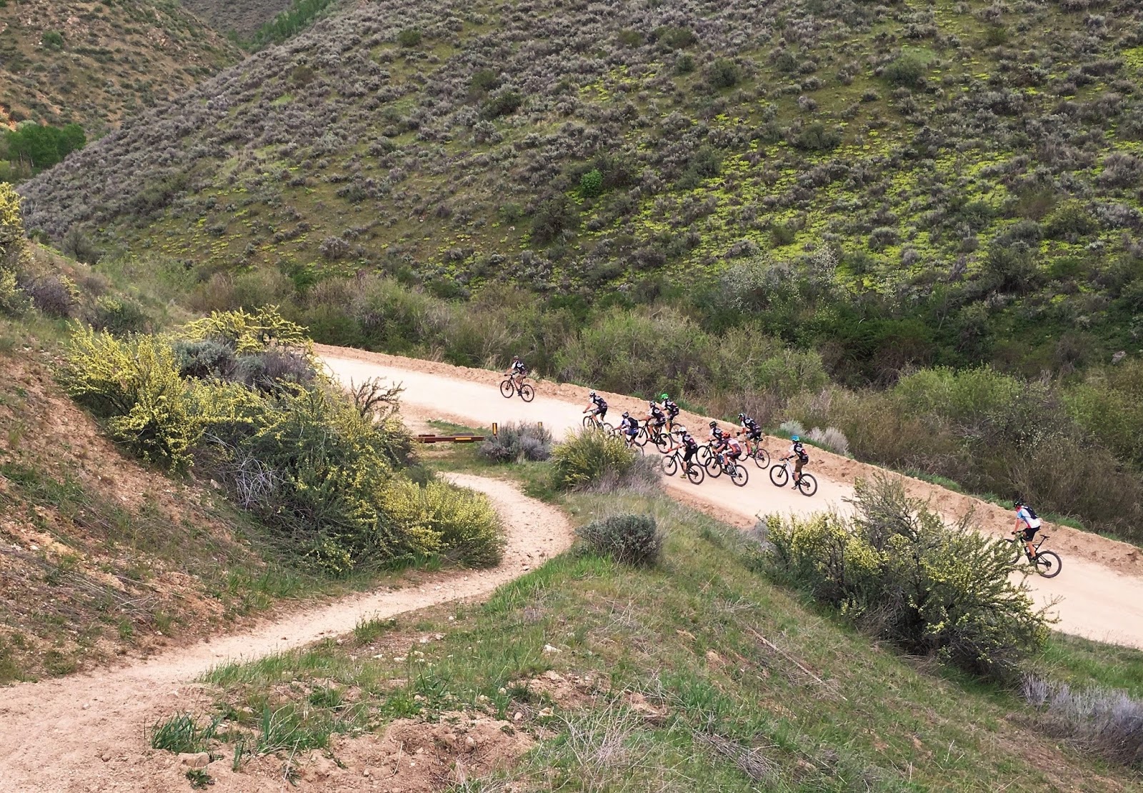 Nomadic Newfies: File Mile-Watchman-Three Bears Loop Near Boise