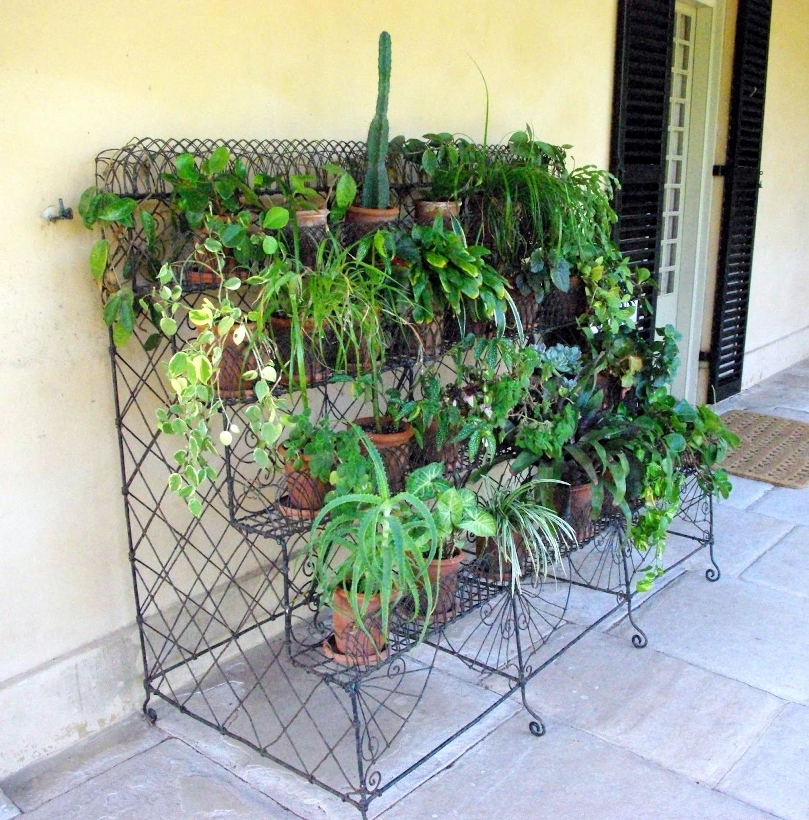 The Reflective Gardener: Antique wire work plant stands