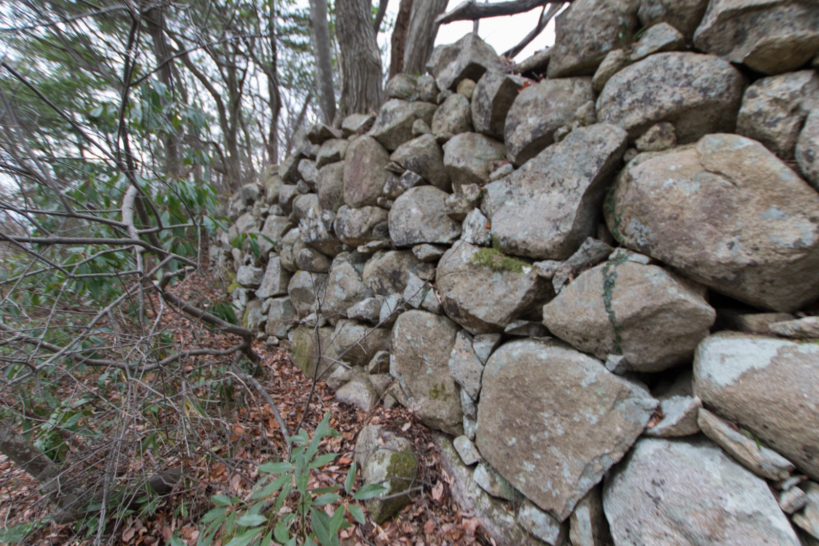 Kannonji Castle -History of warlord next to capital (2) economic ...
