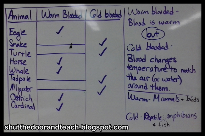 Shut the Door and Teach: Vertebrates Unit: Classifying Animals