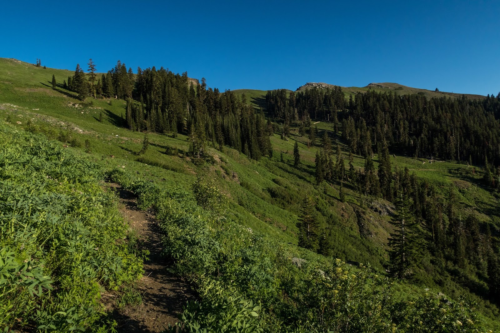 Eric's Hikes: Marble Mountains: Sky High Lakes, Marble Rim, Pacific ...