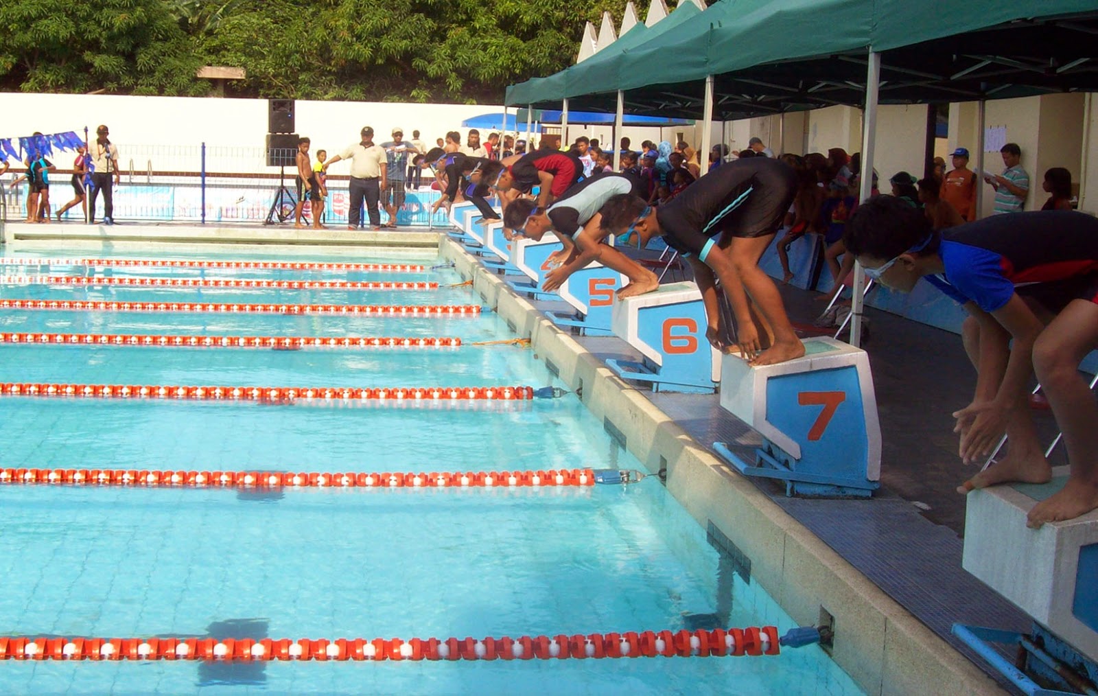 Hasil Kejuaraan Renang Antar Pemakai GOR Ragunan ~ Jakarta Swimming Info