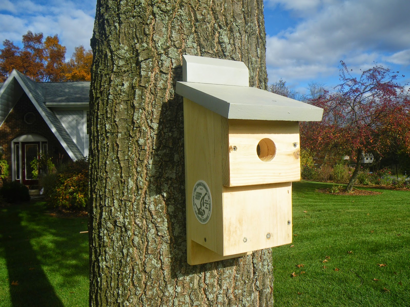 Lycoming Audubon Society: Feeders, Bird and Bat Boxes