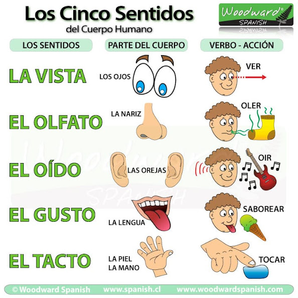 blog educativo y apredizaje: ACTIVIDADES PARA REALIZAR DE SINÓNIMOS