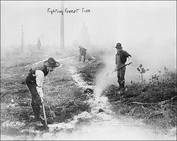 inkspired musings: Fire Fighters, CO, a bit of Summer and a call for HELP!