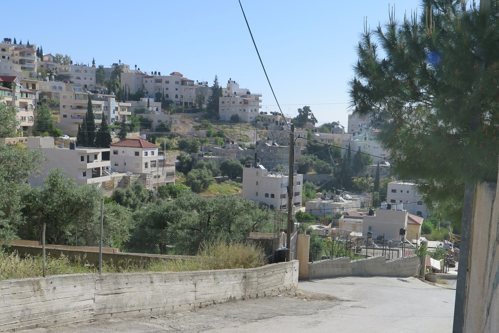 The Holyoaks in the Holy Land: Bethany - Tomb of Lazarus