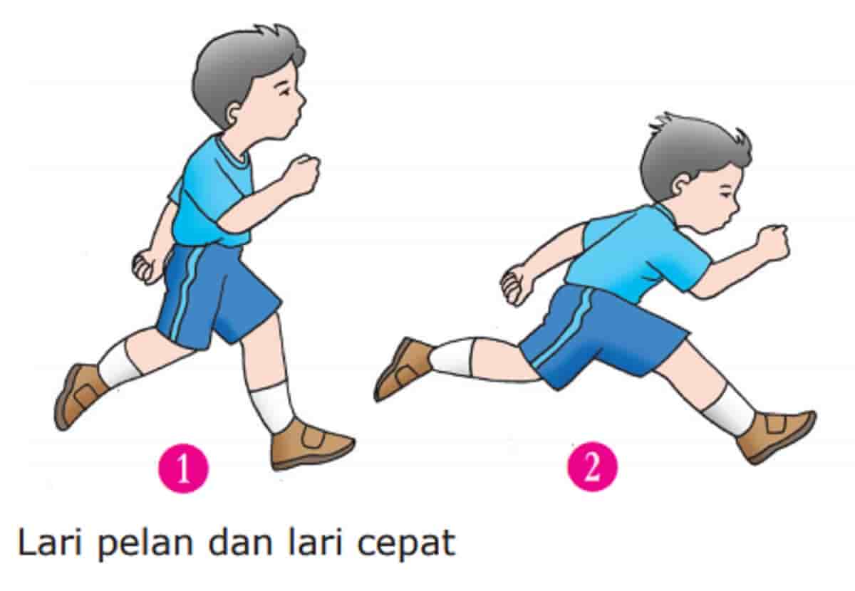 Contoh Variasi Gerak Dasar Berlari Pelan, Cepat, Menyamping, Berkelok ...