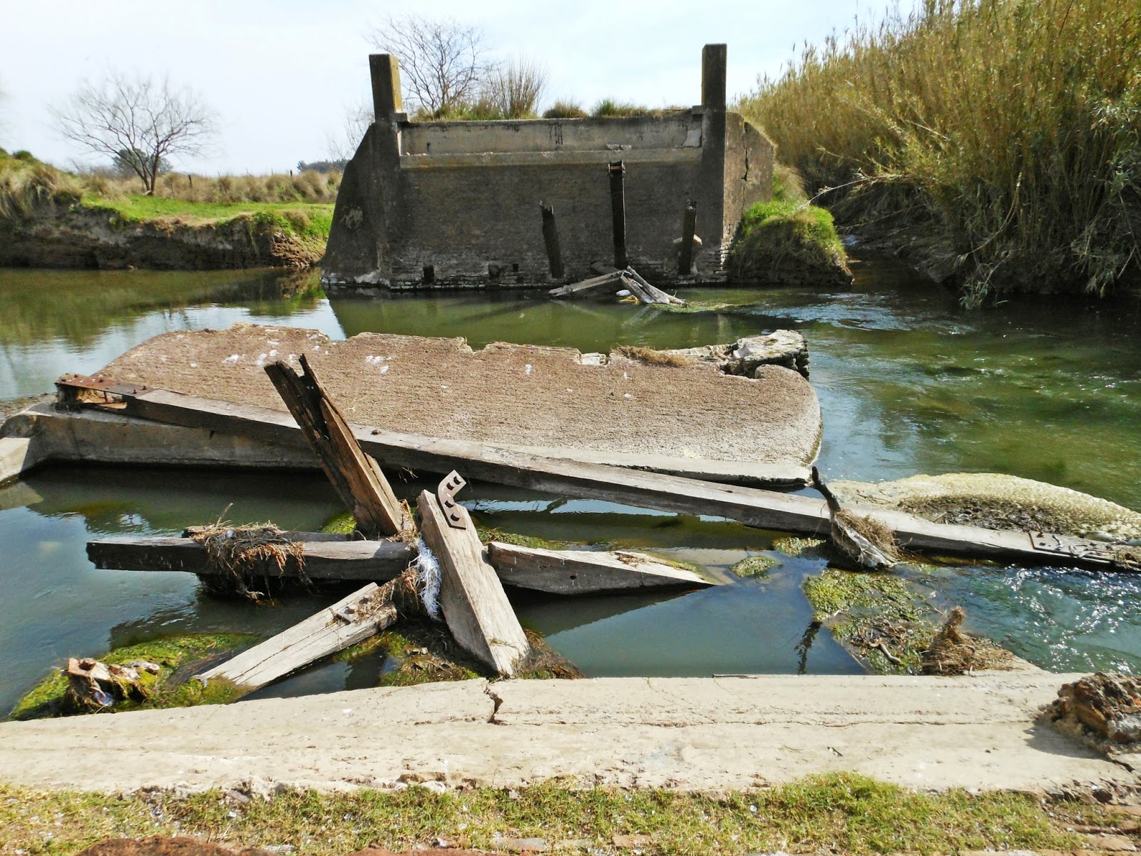 CAMINANDO LA PAMPA: Arroyo del Medio, Buenos Aires, Argentina