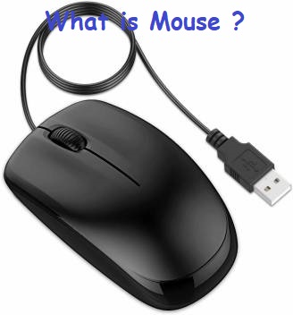What Is Computer Mouse ? Explain The Types Of Mouse ? Function Of Mouse ...