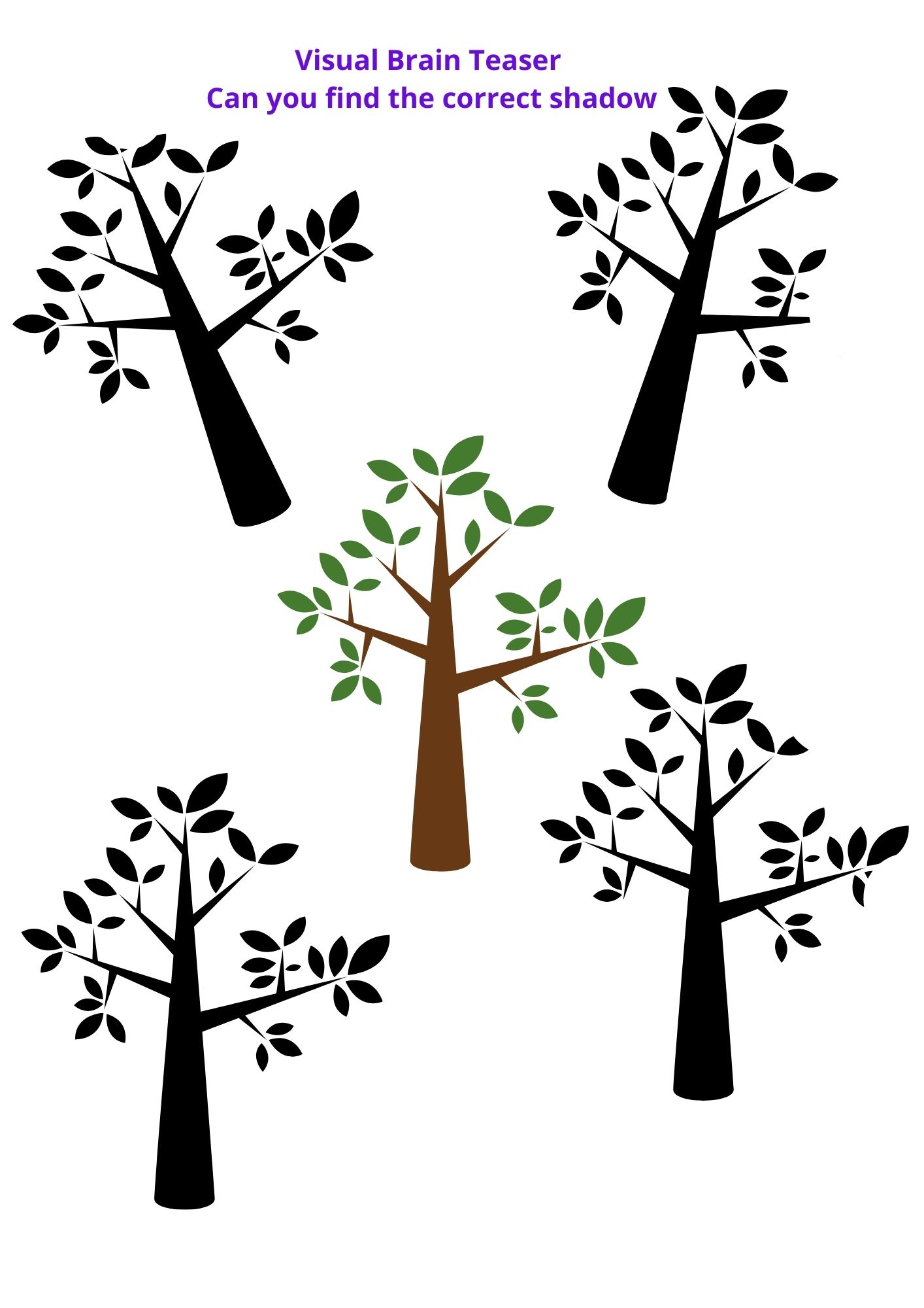 Art with Catherine - Visual Brain Teaser - Sligo Community Training Centre