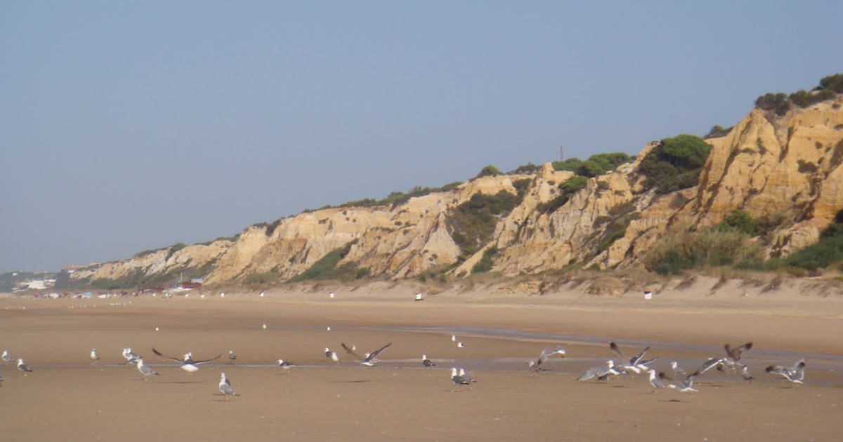 MAZAGÓN BEACH: MAZAGÓN ES IMPRESIONANTE