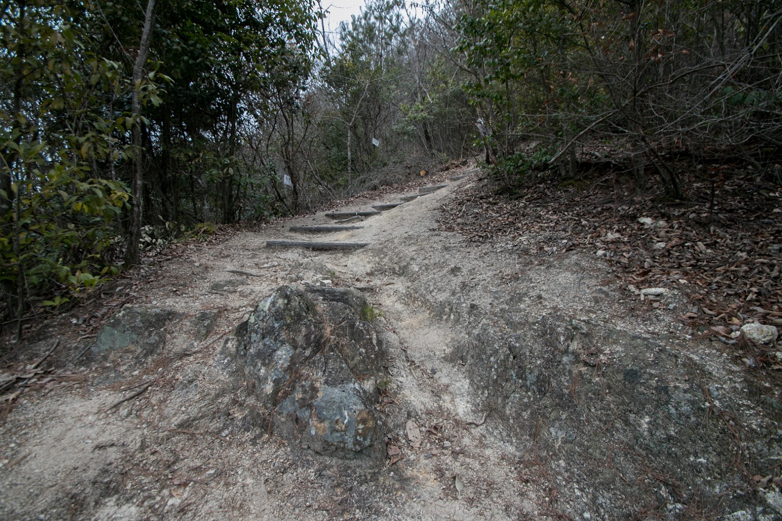 Niitakayama Castle -Intellectual pillar of Mouri clan (2)- | Japan ...