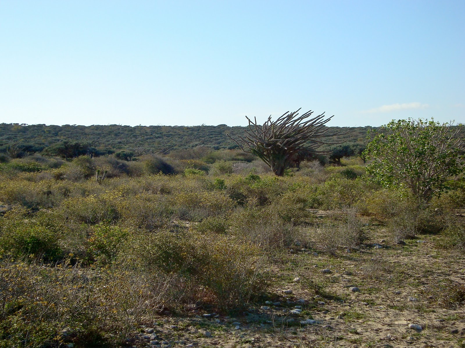 Madagascar, l'île rouge: J11. Morombe - Andavadoaka - Salary