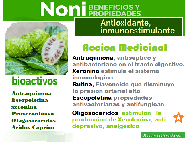 Oye montes: NONI, CONTIENE MARAVILLOSA XERONINA