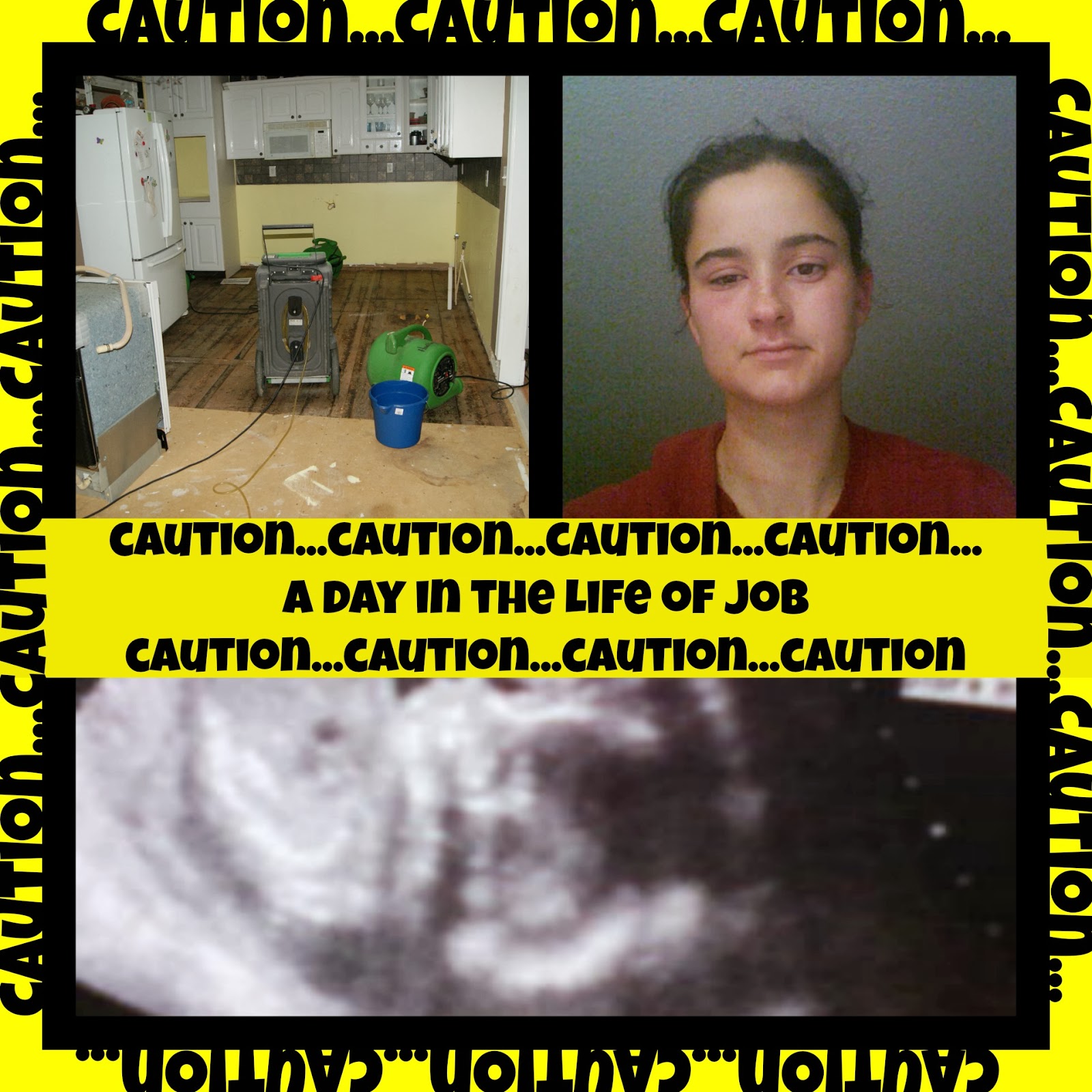 The Resolved Life: A Day in the Life of Job