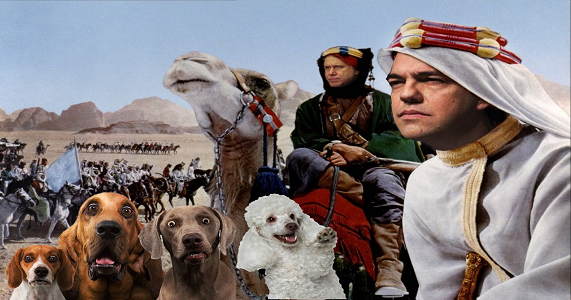 Το καραβάνι…