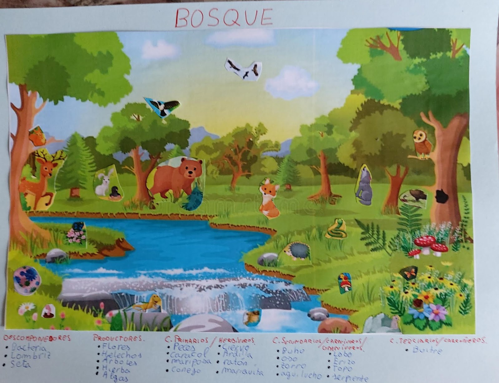 Los aventureros del Berceo: REPASO: LOS ANIMALES Y ECOSISTEMAS