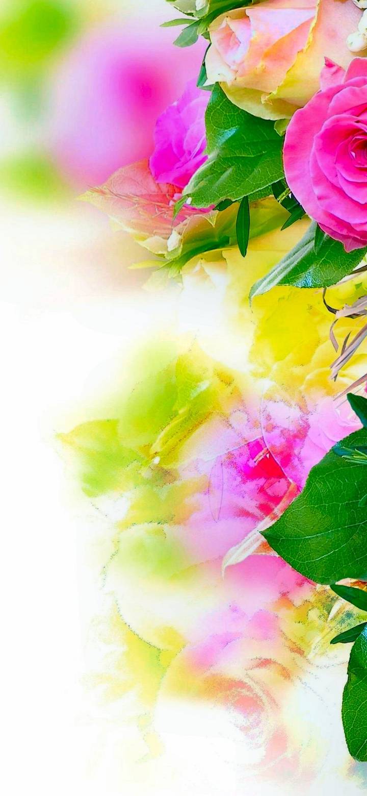 Juan Maldonado: The best Wallpapers and Screensaver of Roses