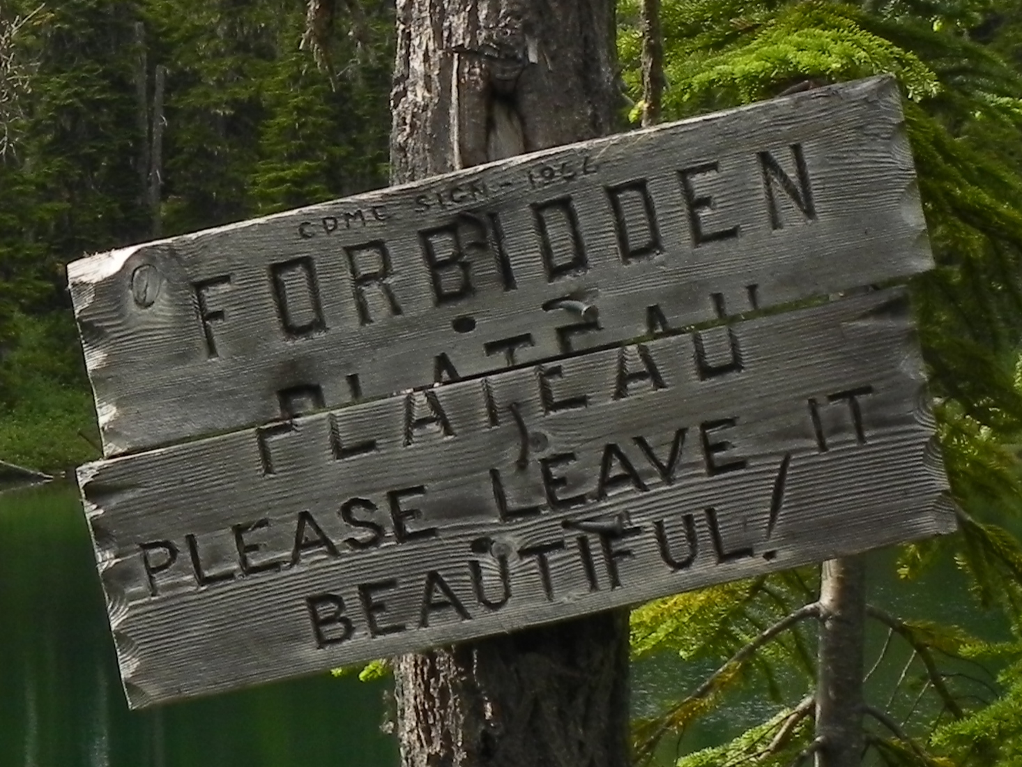 Borrowed Times: How'd ya like the island, eh? Hiking Vancouver Island's ...