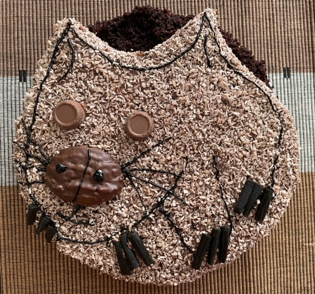 Harry the Hairy Nosed Wombat Cake - Book Week 2021 | Laws of the Kitchen